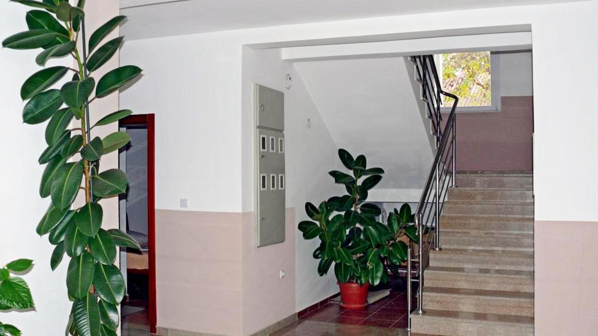 Туры в отель Goran Zec Hotel 3* (Черногория, Будва) - цена, фото, описание