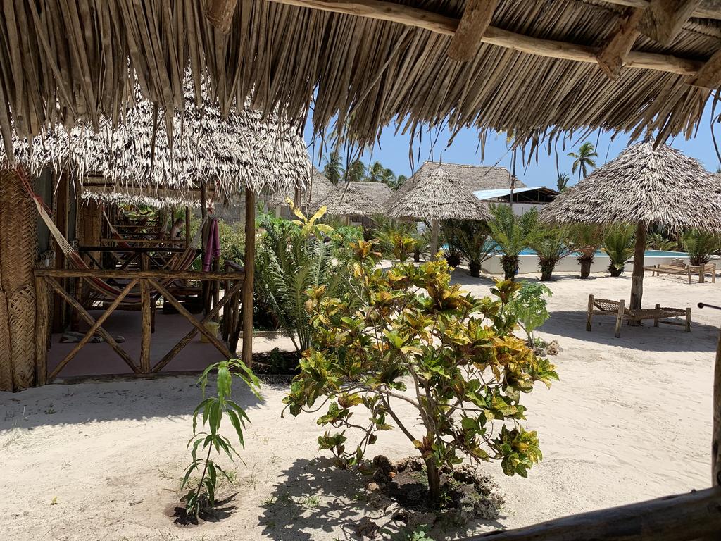Туры в отель Jambo Beach Bungalows 3* (Танзания, Паже) - цена, фото ...