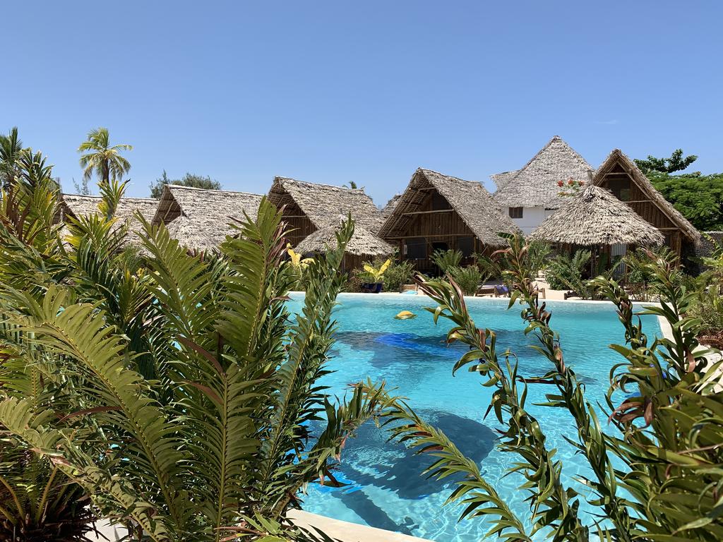 Туры в отель Jambo Beach Bungalows 3* (Танзания, Паже) - цена, фото ...