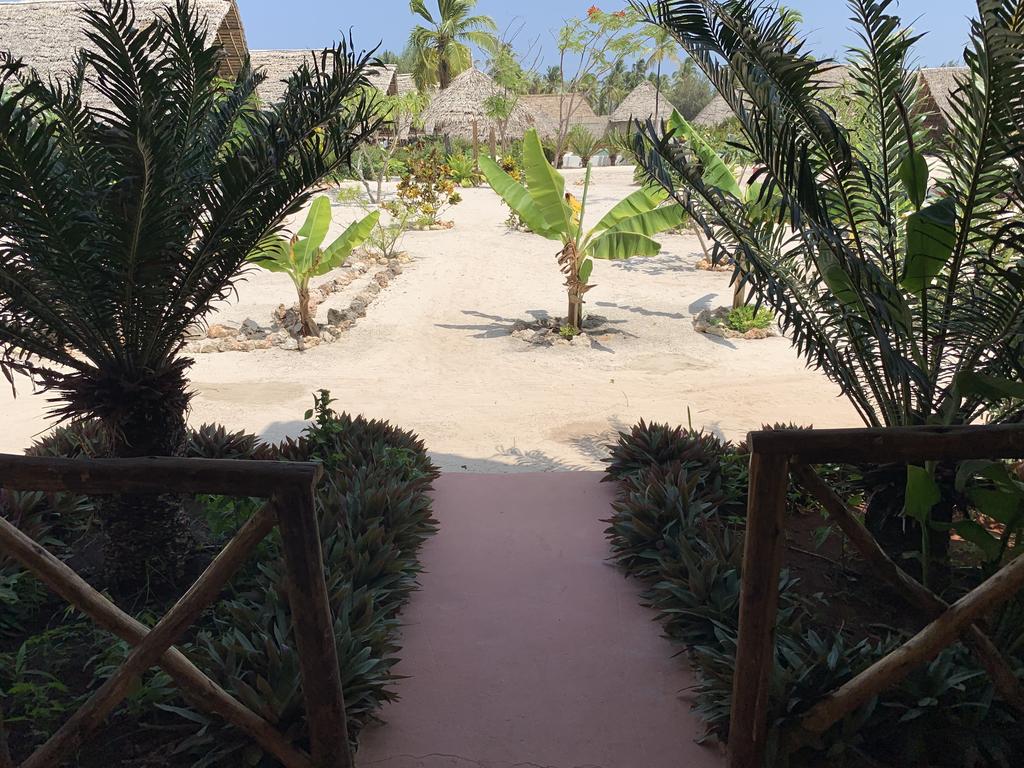 Туры в отель Jambo Beach Bungalows 3* (Танзания, Паже) - цена, фото ...